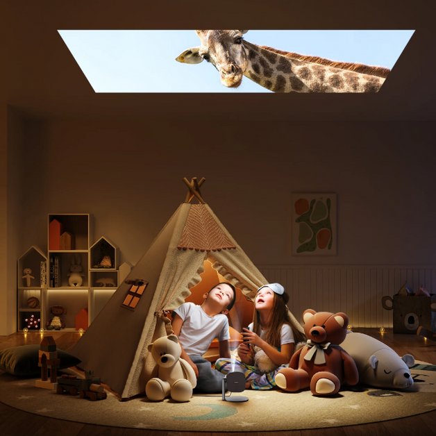 Enjoy the Magic of Portable Projectors for Home Use